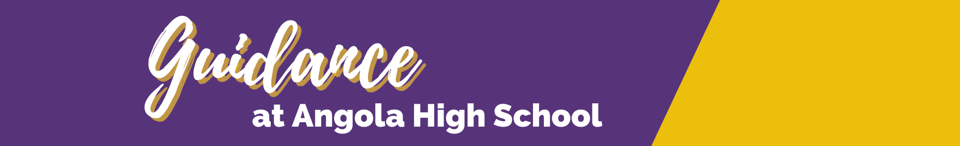 Guidance | Angola High School