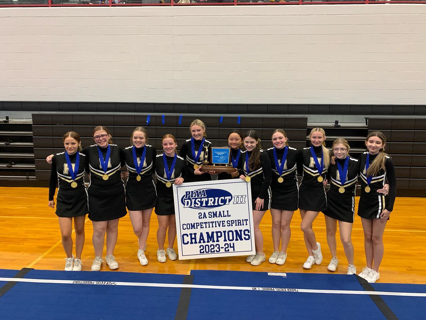 Cheerleading | Halifax Area School District