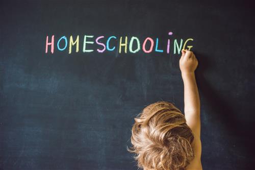 Home Instruction | TST BOCES