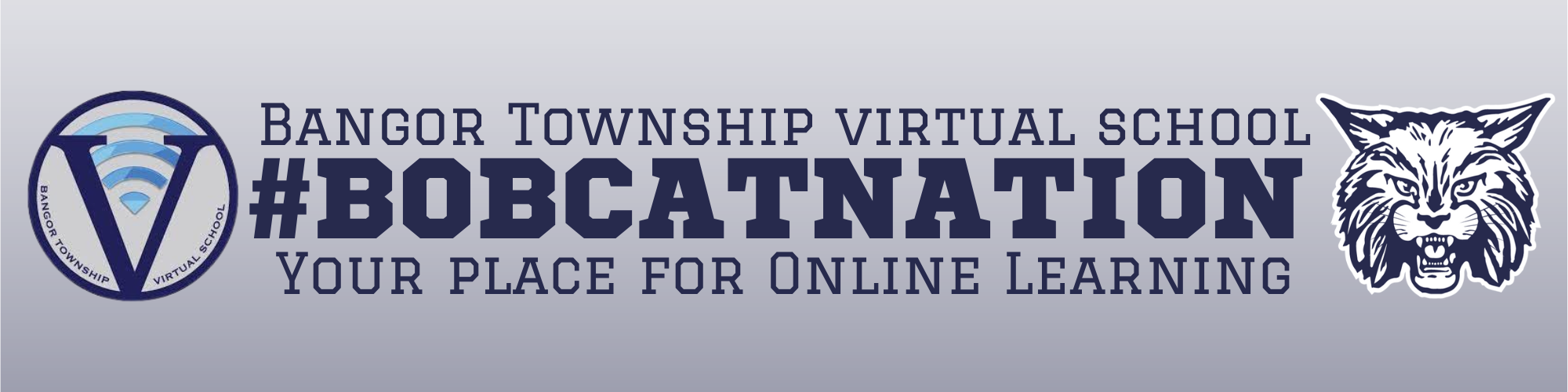 Our Vision | Bangor Township Virtual School