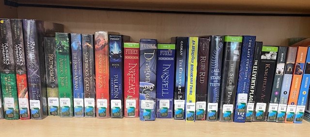 Middle School Library | Prospect Ridge Academy