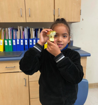 Cafe | Breakthrough Magnet School (South)