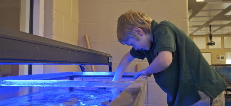 Aquatic Laboratory | Environmental Sciences Magnet School at Mary Hooker