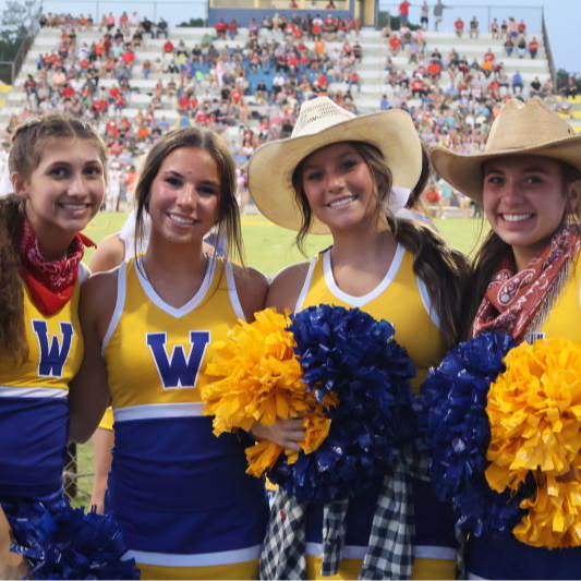 Athletics | Wren High