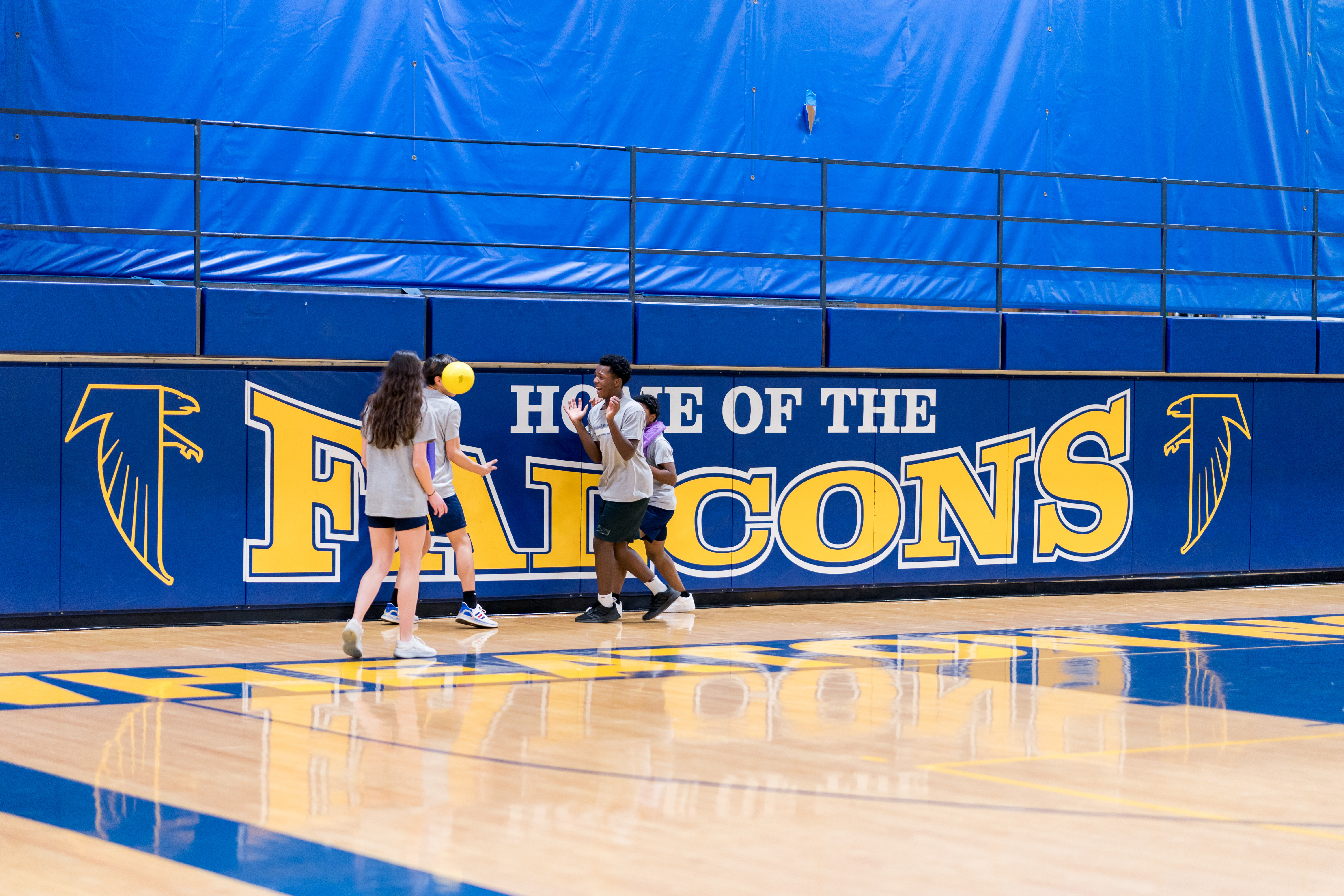 Wheaton North High School Logo Wheaton North High School