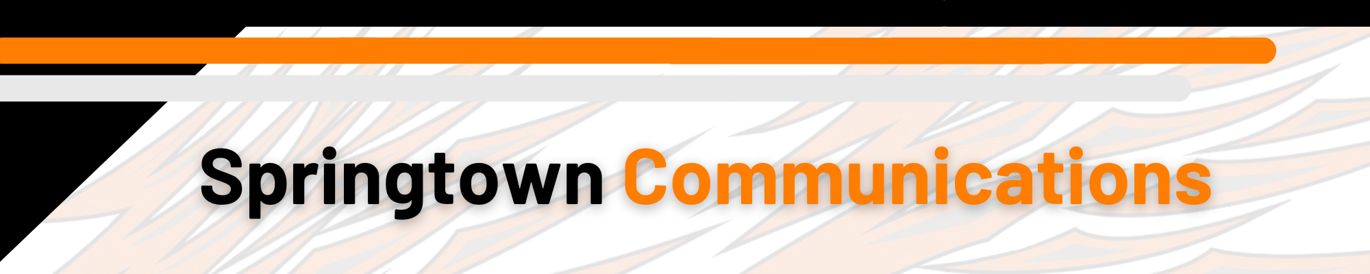 Overview | Springtown ISD