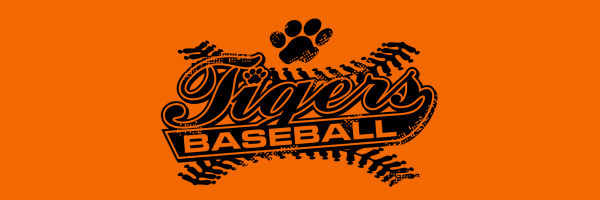 Baseball | Metter High School