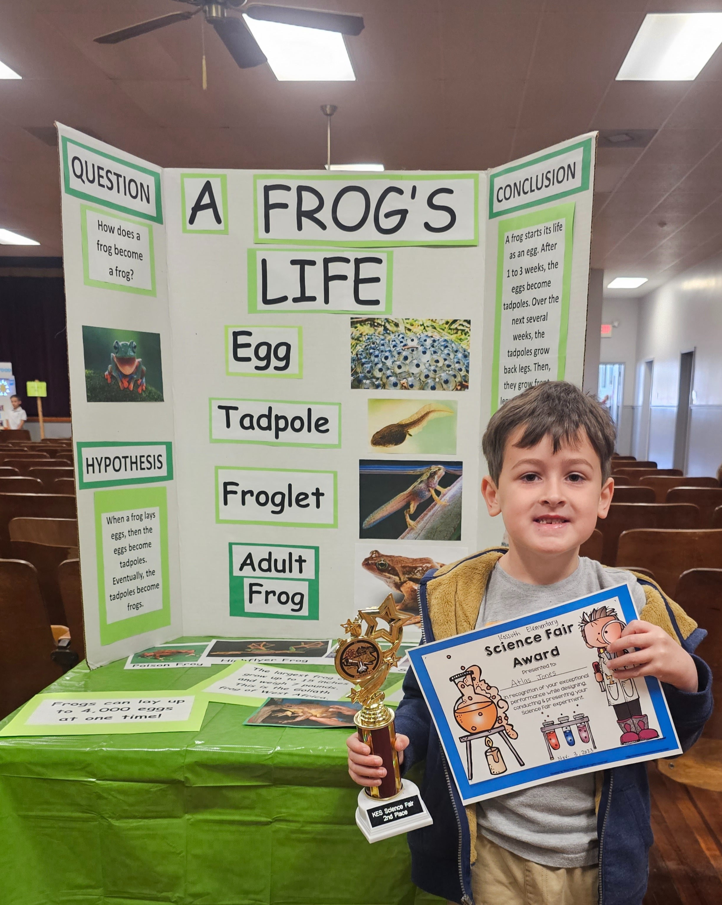 KES Science Fair | Kossuth Elementary