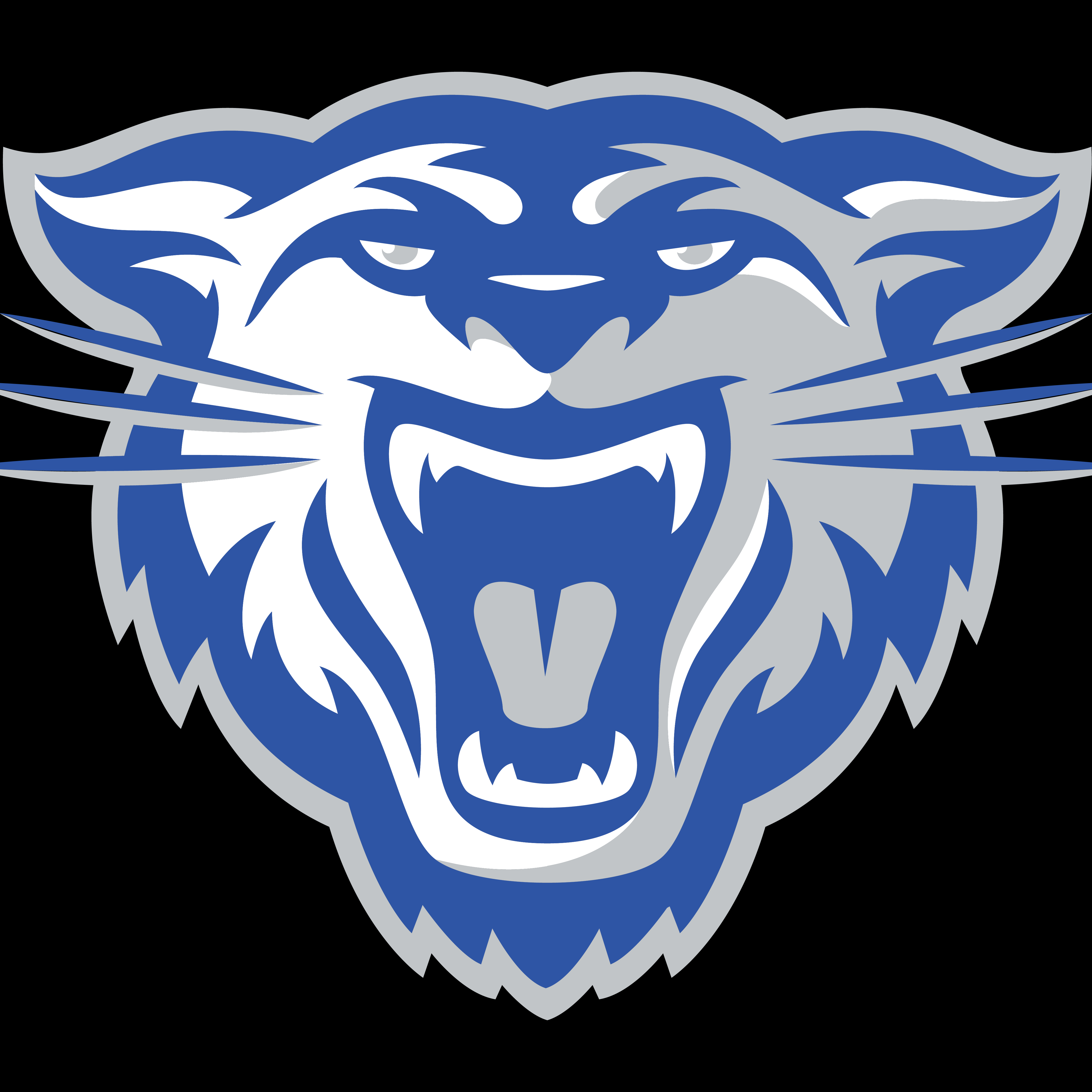Athletics | Conway Public Schools