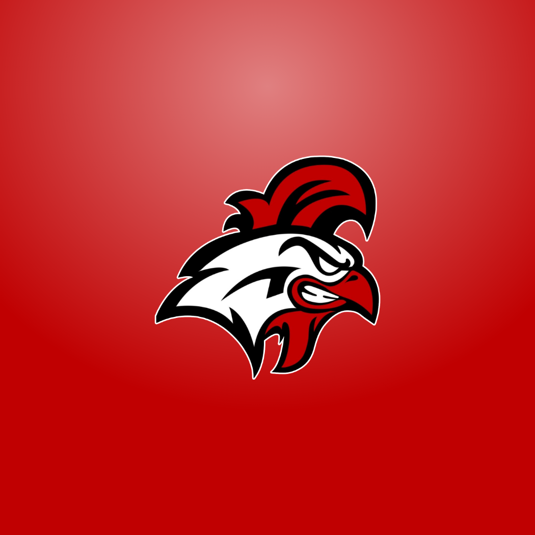 Vineland High School Logo Ranking The Top 5 Vintage High School Logos