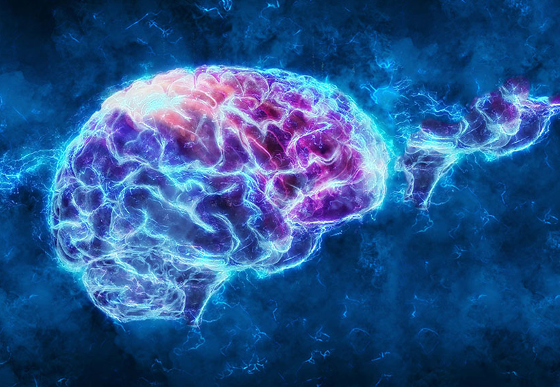 NeuroVisual Training Program