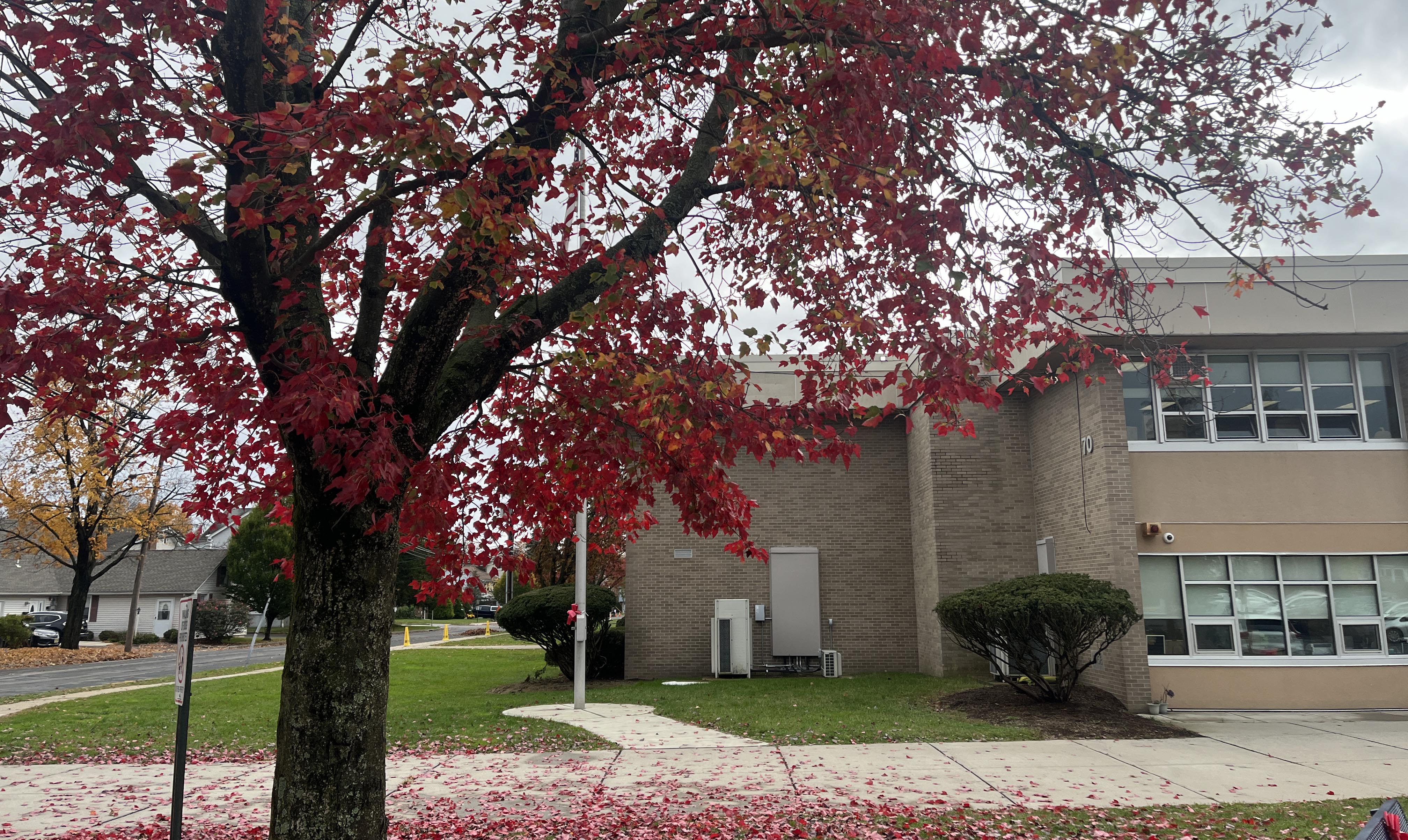 Home | Washington School