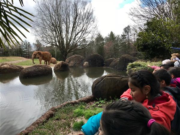 English as a Second Language (ESL) | Lee County Schools