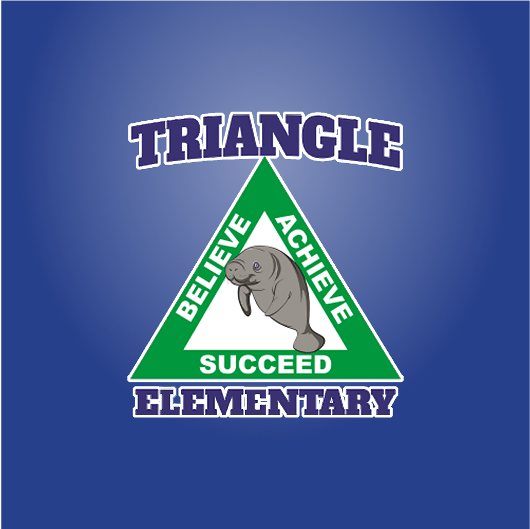 Triangle School