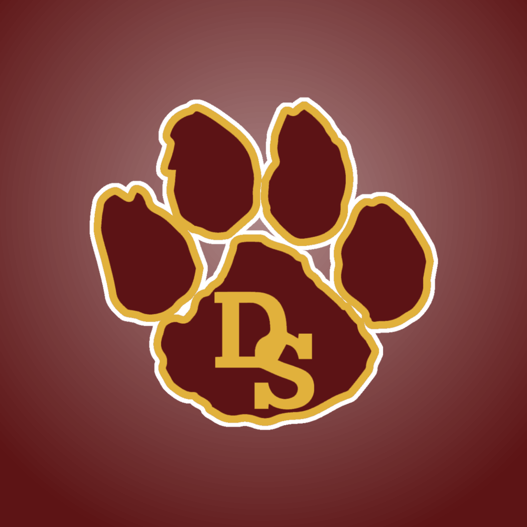 Dripping Springs High School Logo VYPE Central Texas Game Of The Week