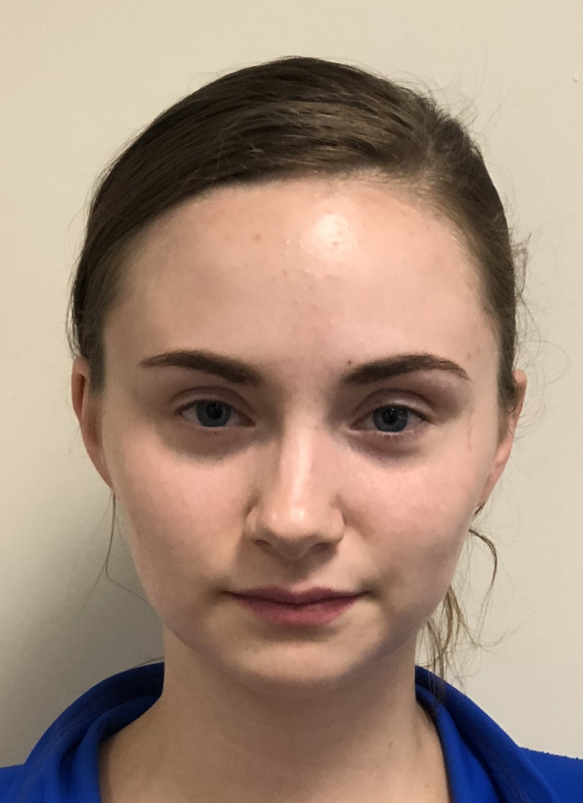 Animal Control | Brigham City