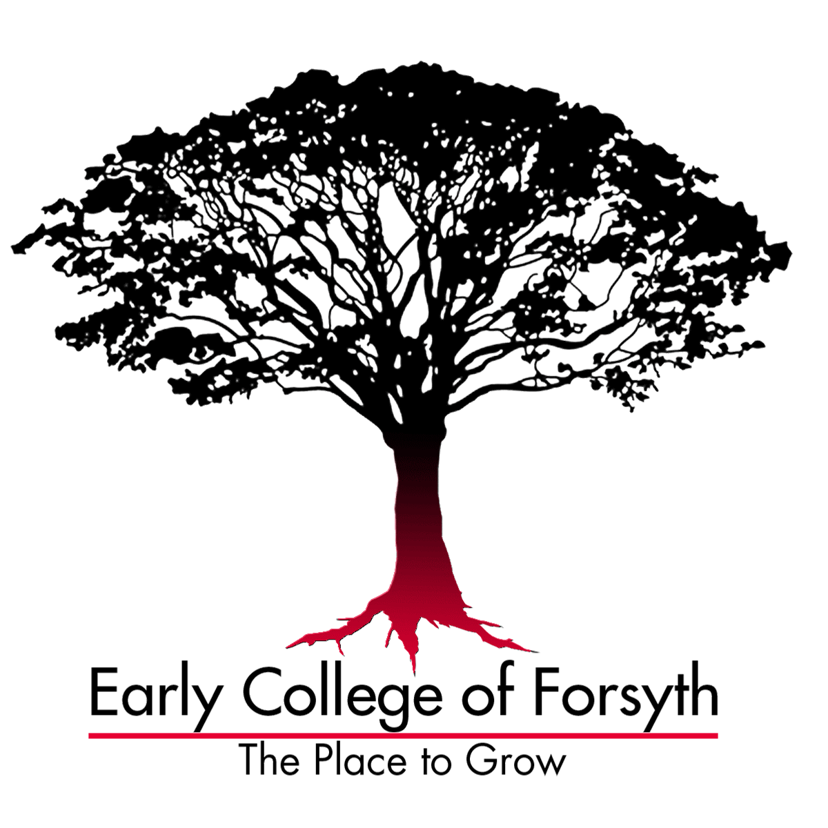Finance Manager Early College Of Forsyth County
