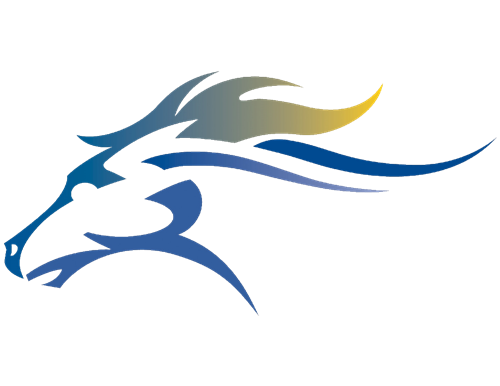 Mission, Vision, and Beliefs | Meyer Elementary School