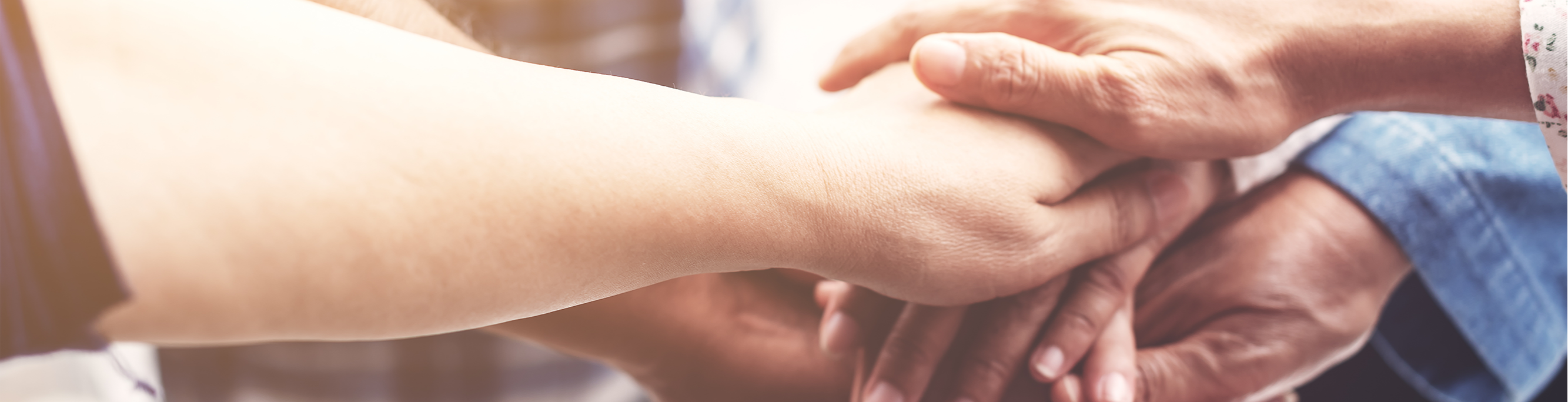 Safety & Security Areas of Responsibility | Sarasota County Schools