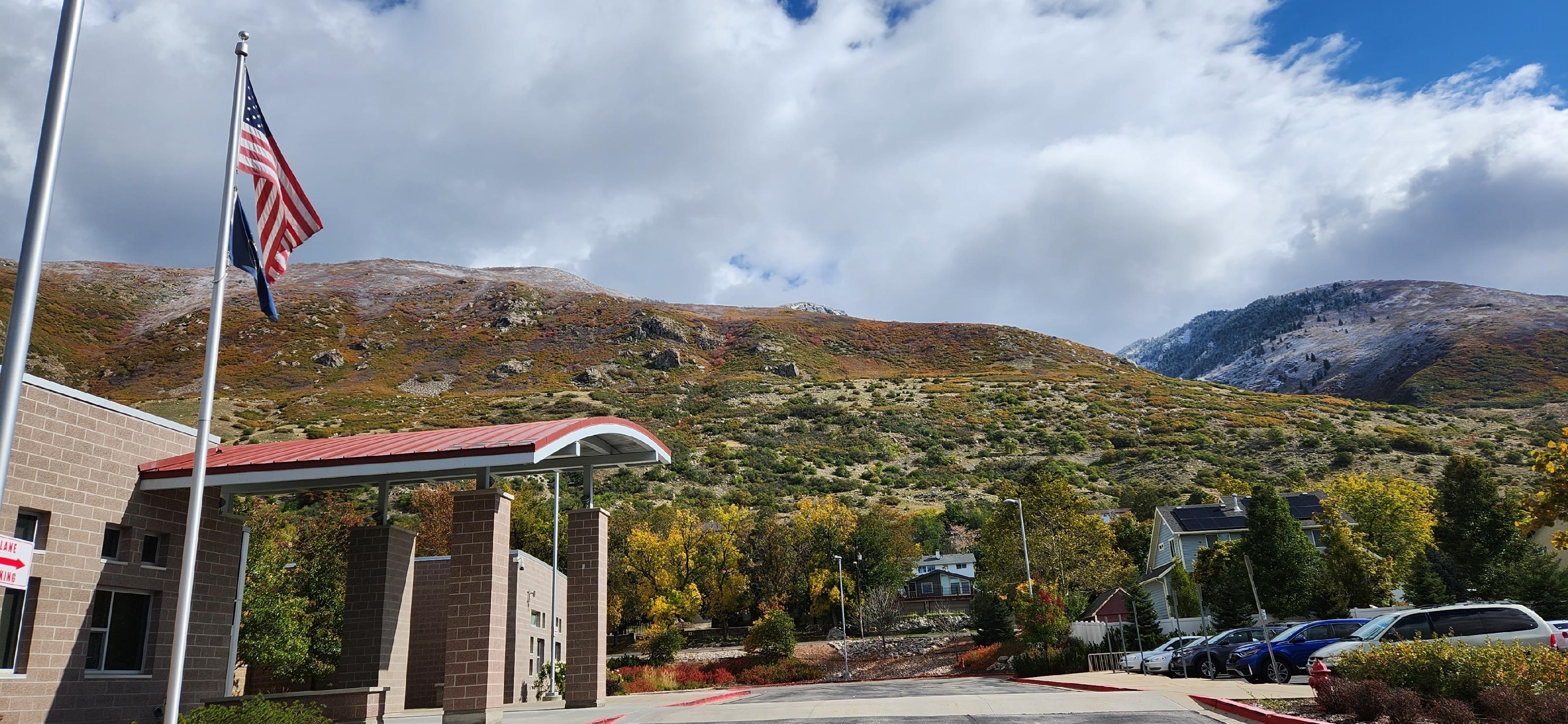 Transition to Adulthood in Special Education