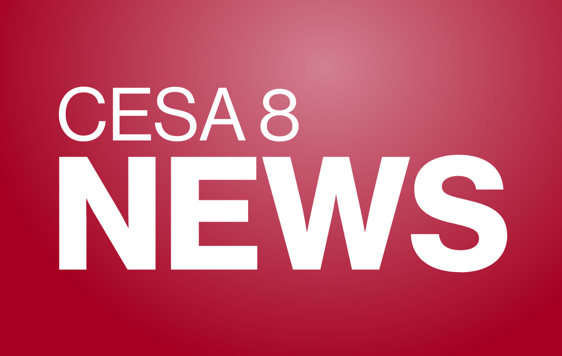 Supported Decision-Making Webinar | CESA 8