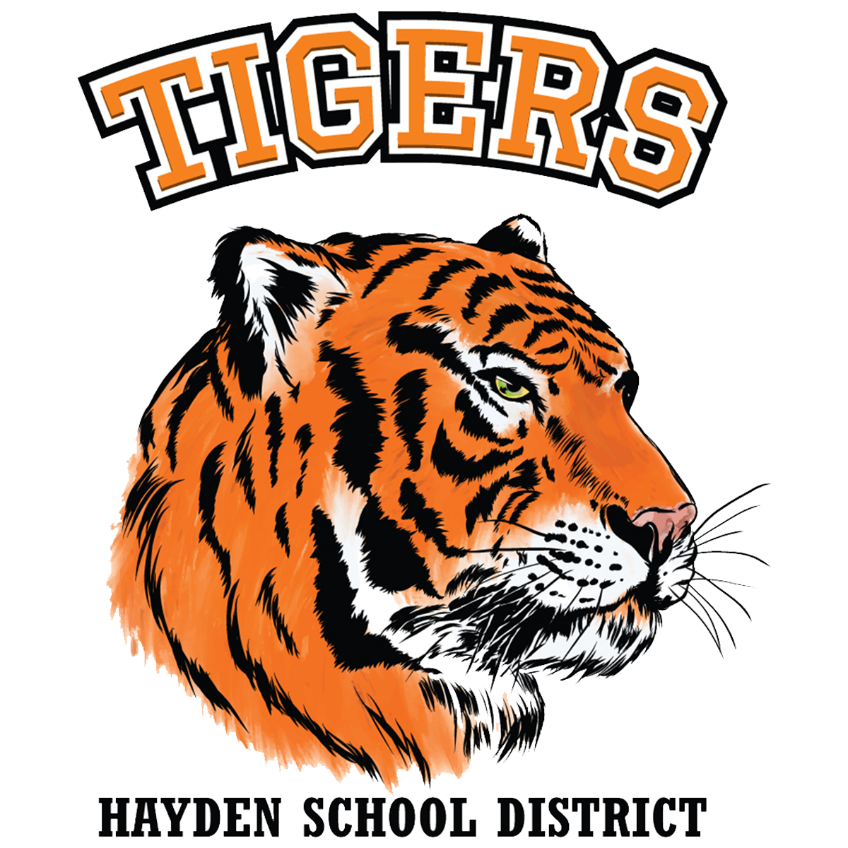 Home Hayden Middle School