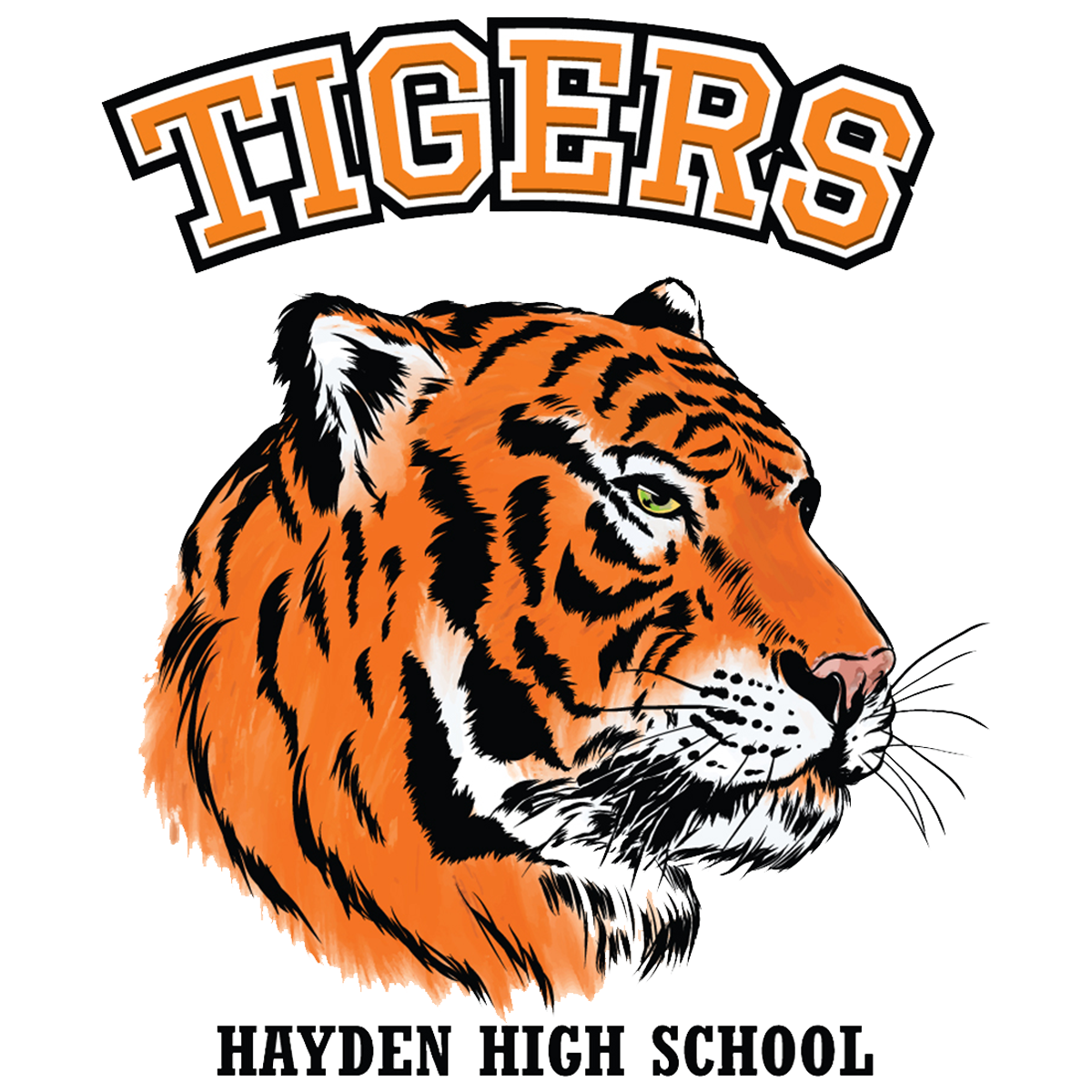 Seniors Win The Canned Food Drive Hayden High School Seniors Win The Canned Food Drive Hayden High School