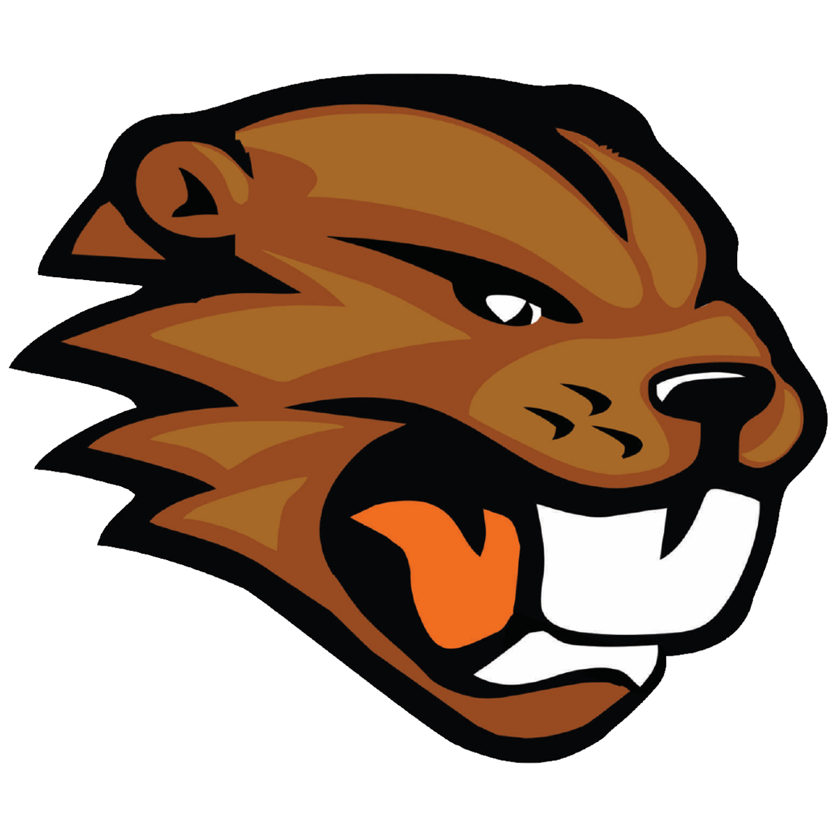 Eau Claire Logo Eau Claire Bears | Chippewa River Baseball League ⚾