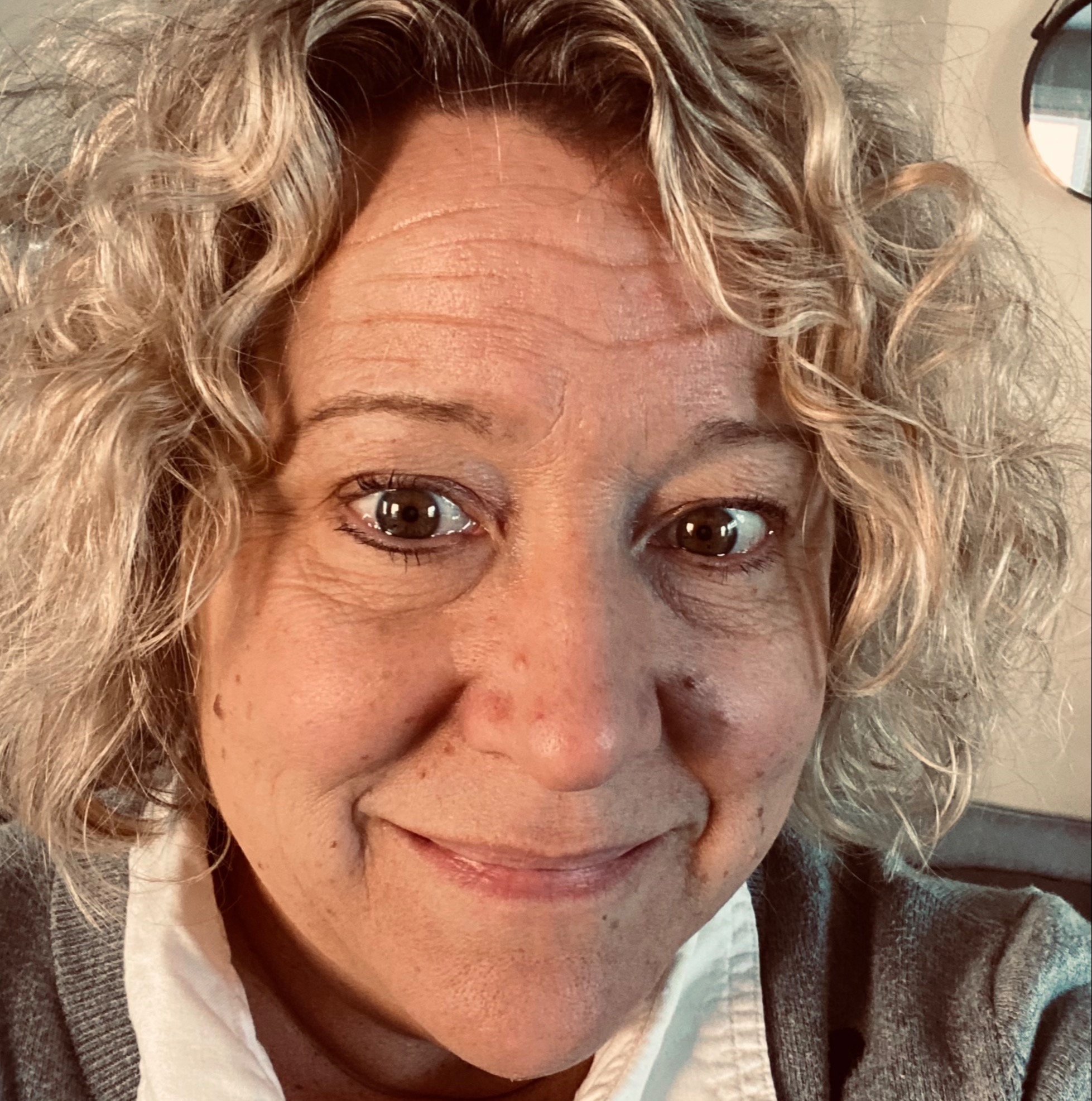 OPL Staff & Services Overview | Berks County IU 14, PA