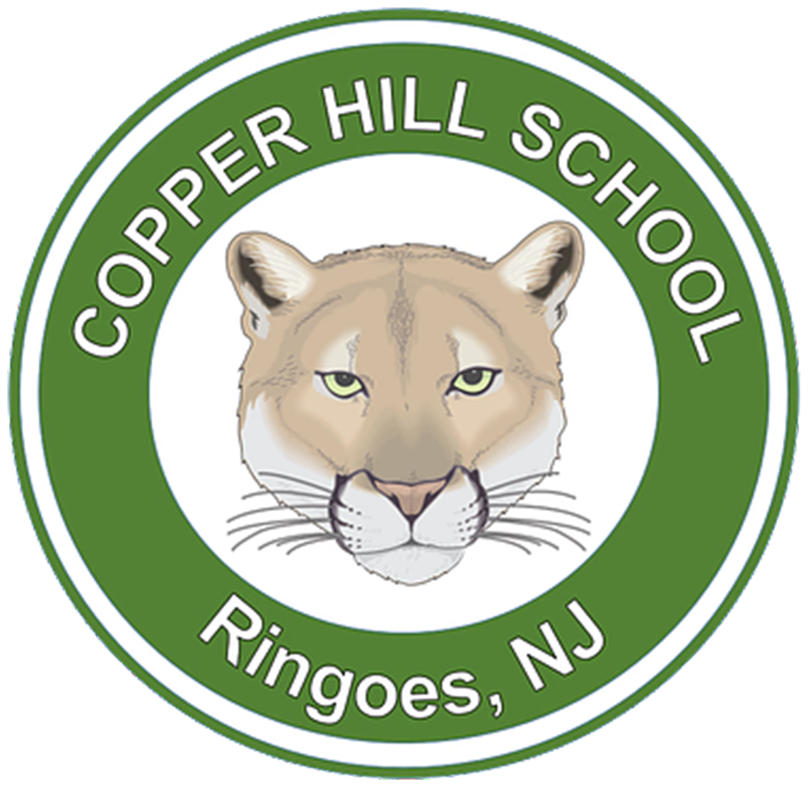 Home Copper Hill School PreK 4 
