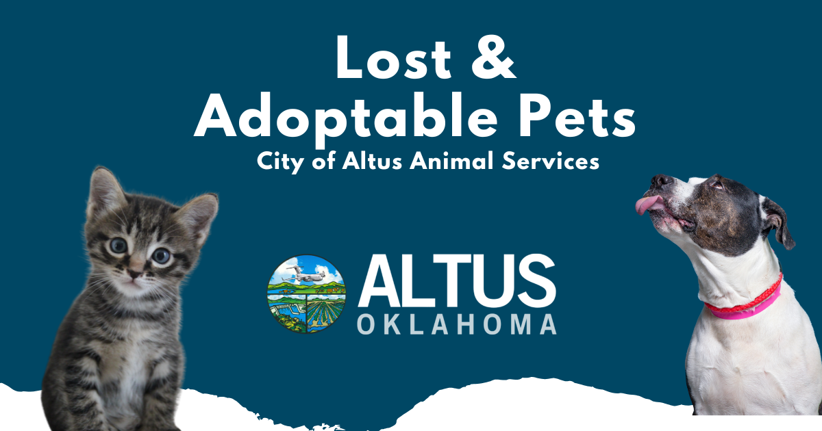 Lost & Adoptable Pets – City of Altus Animal Services