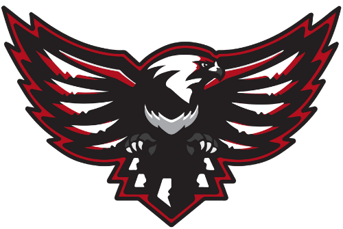 Klein Intermediate Falcons Logo
