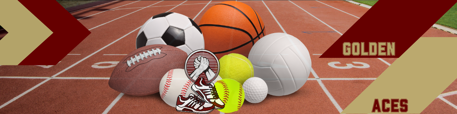 MCHS ATHLETICS HALL OF FAME | Mt. Carmel High School