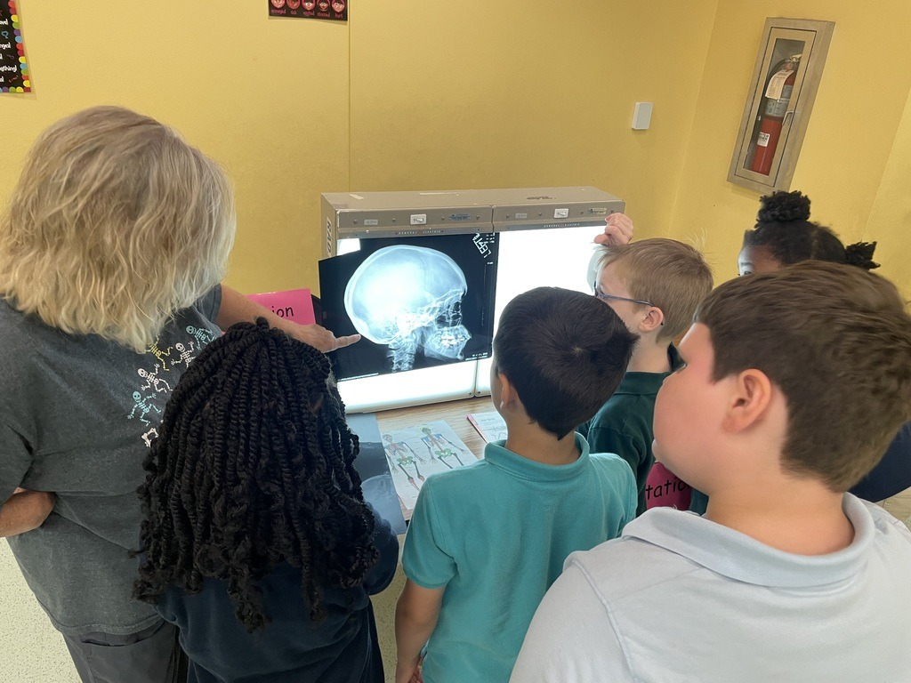 Pine Forest Elementary | Home