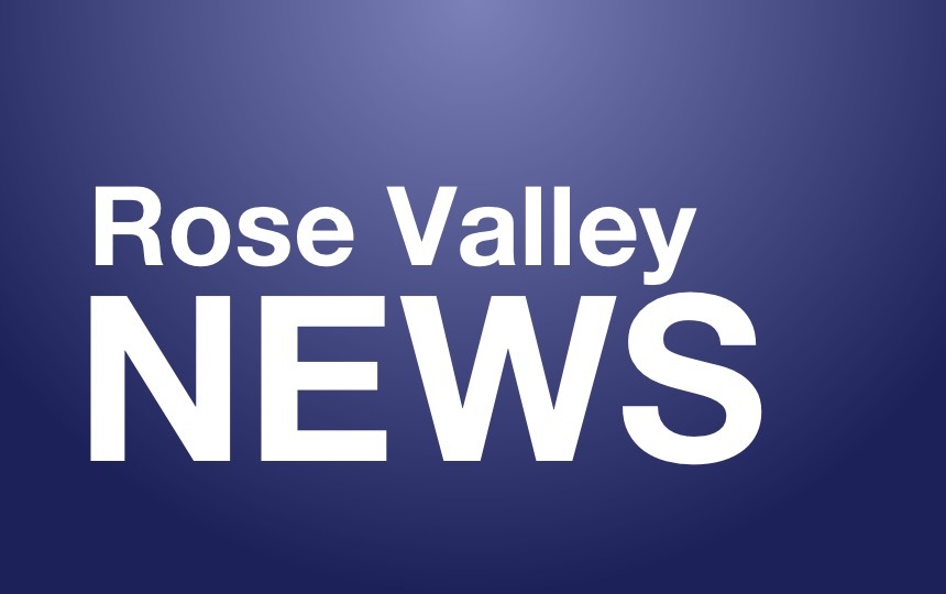 PTO Carnival/Auction | Rose Valley Elementary School