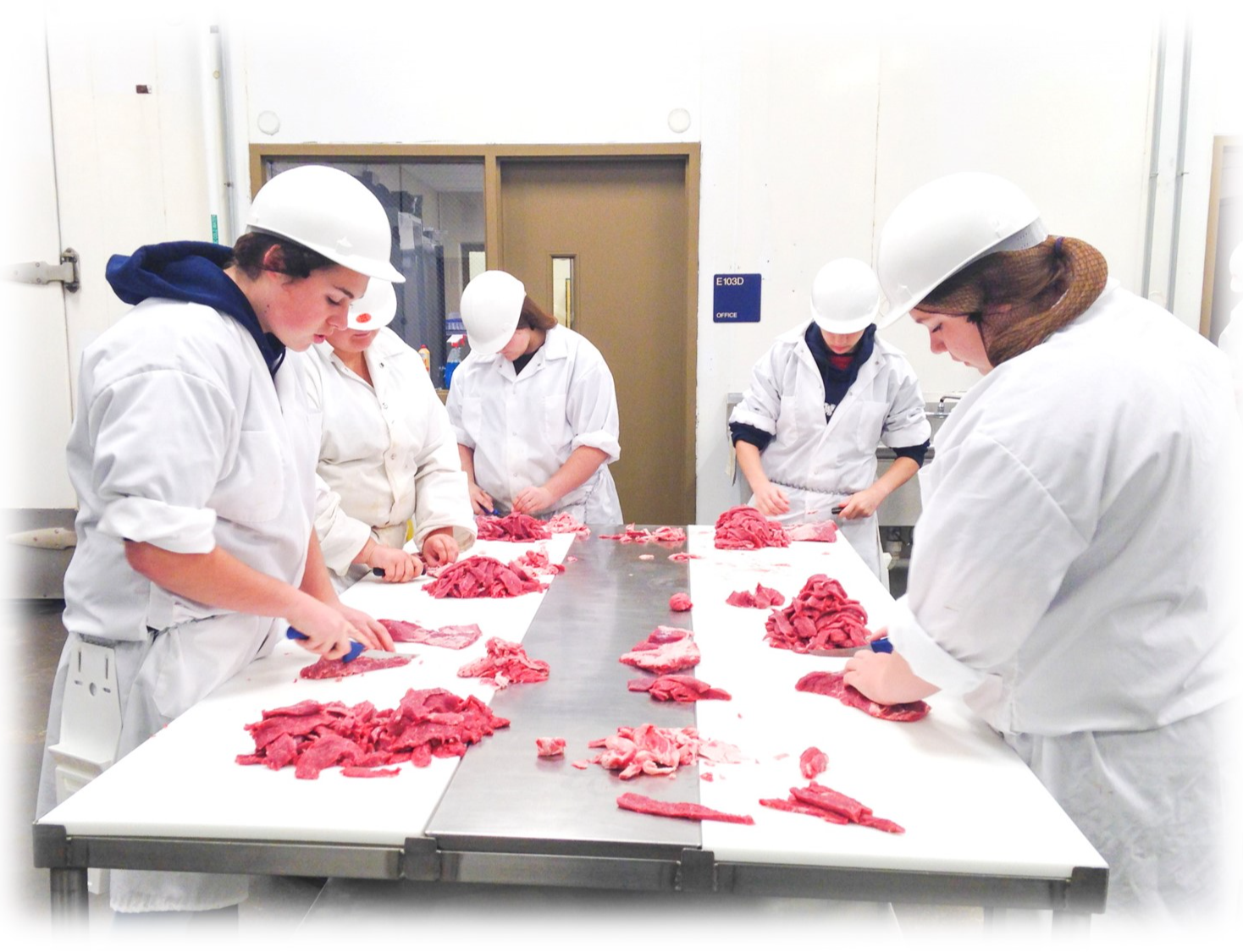 LAB - Meat & Animal Science | Pioneer Career and Technology Center