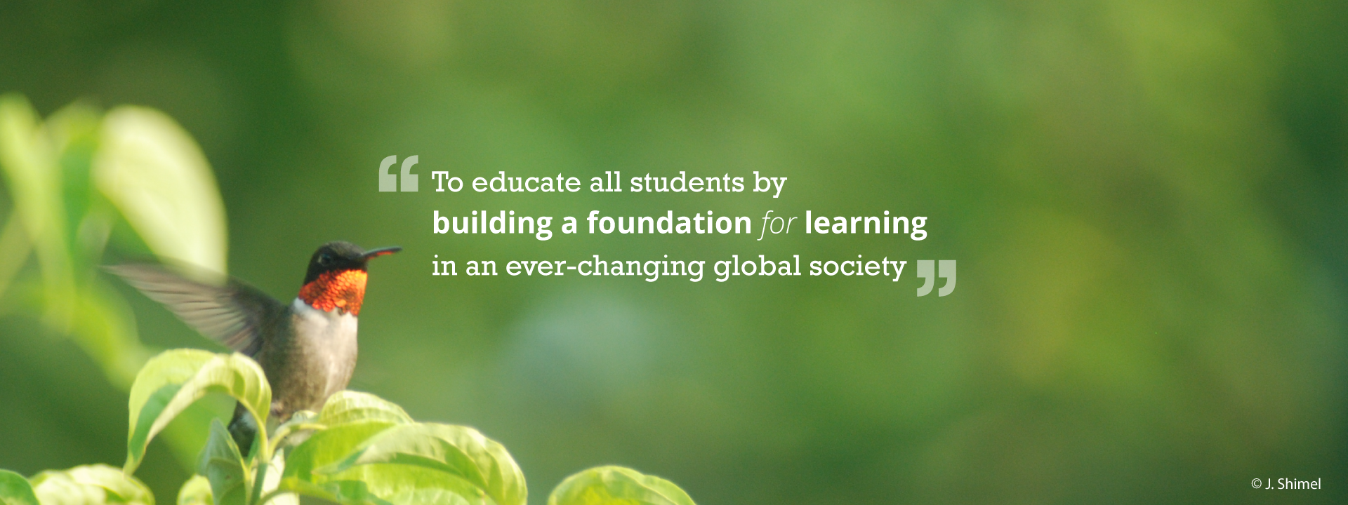 Deep Branch Elementary | Home