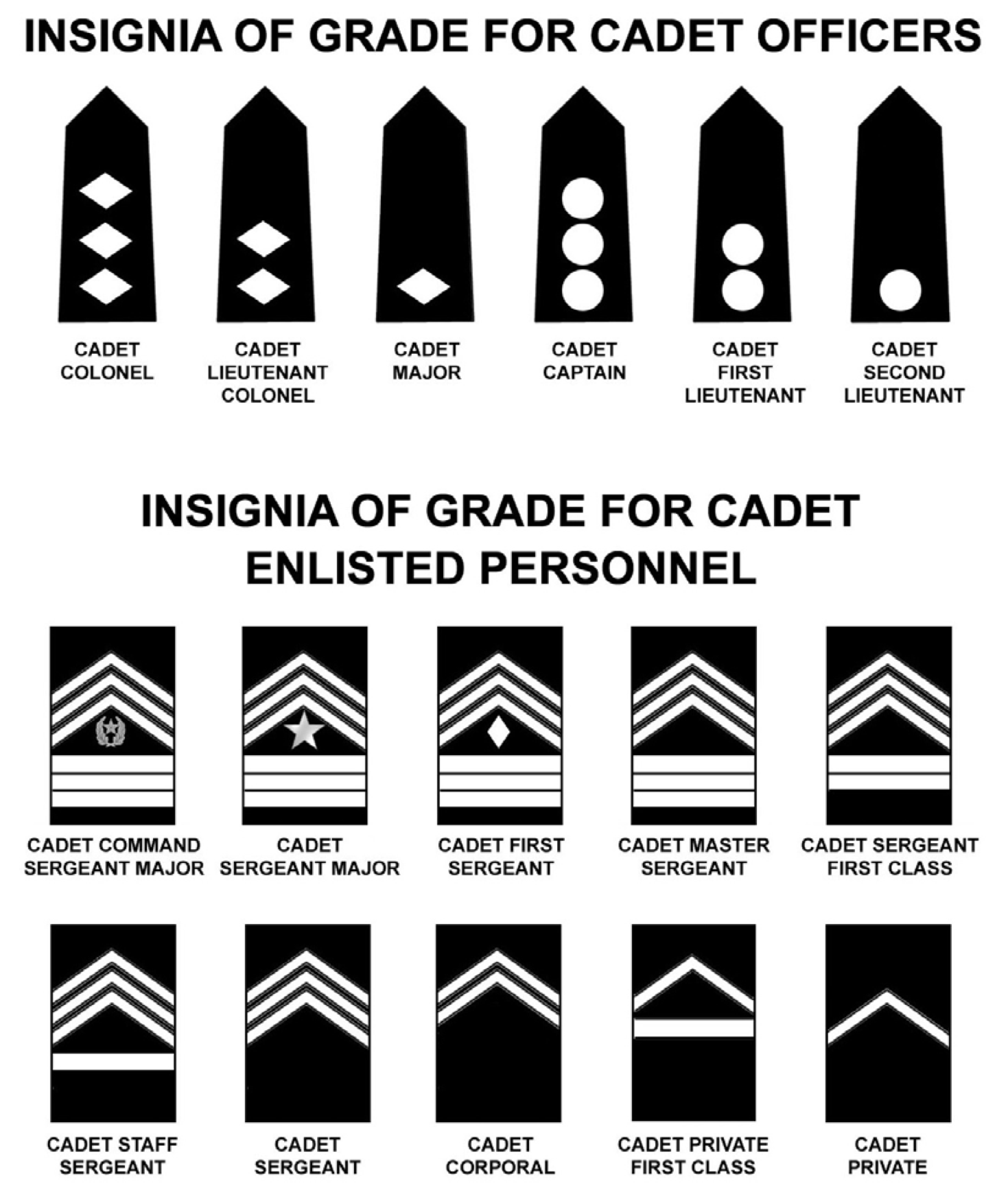 JROTC Home Page Army JROTC Cadet Ranks