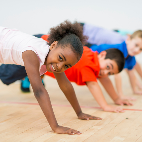 Course Selection Guide | Tecumseh High School