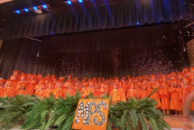 Mineola Primary School | Home