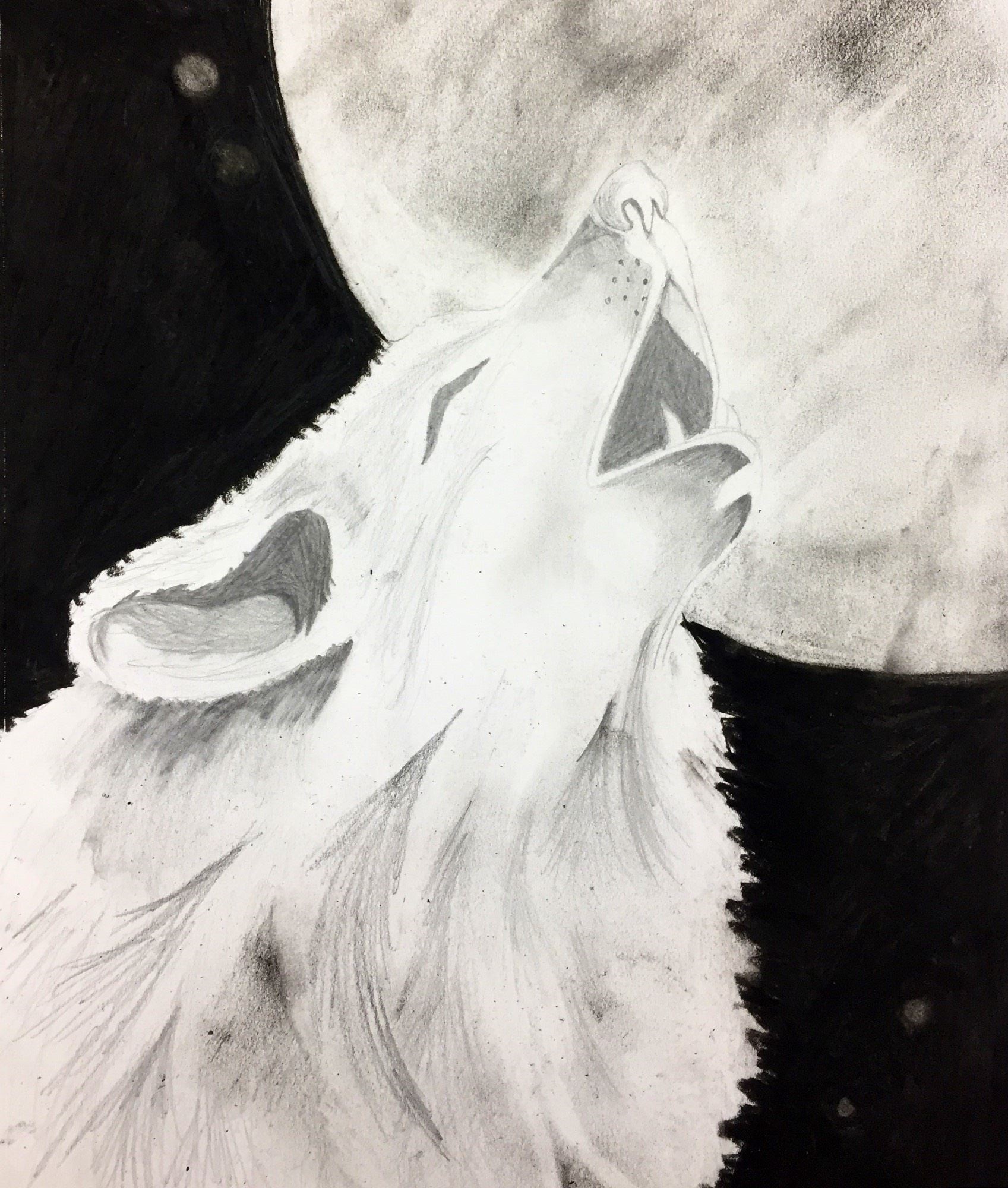 Visual Arts | Magnet Academy for Cultural Arts