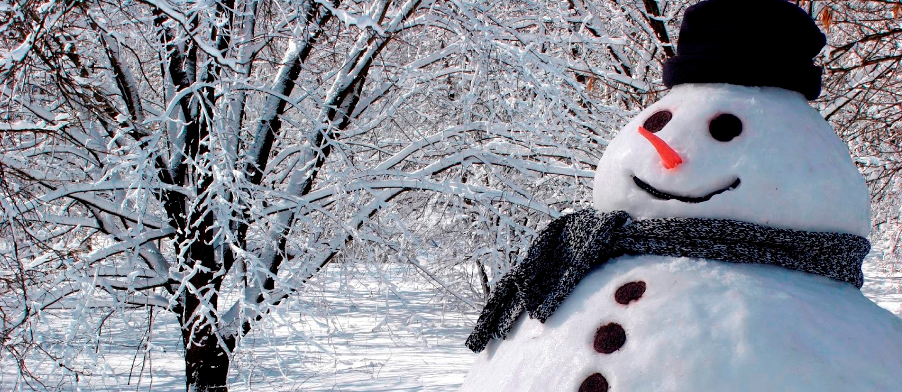 Neal Math and Science Academy