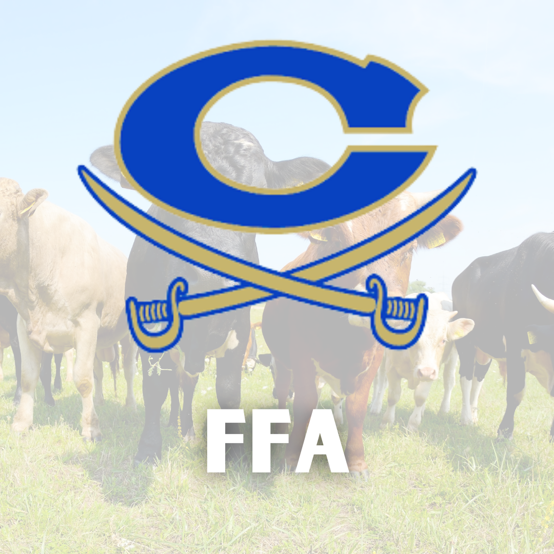 Clubs | Cass High School