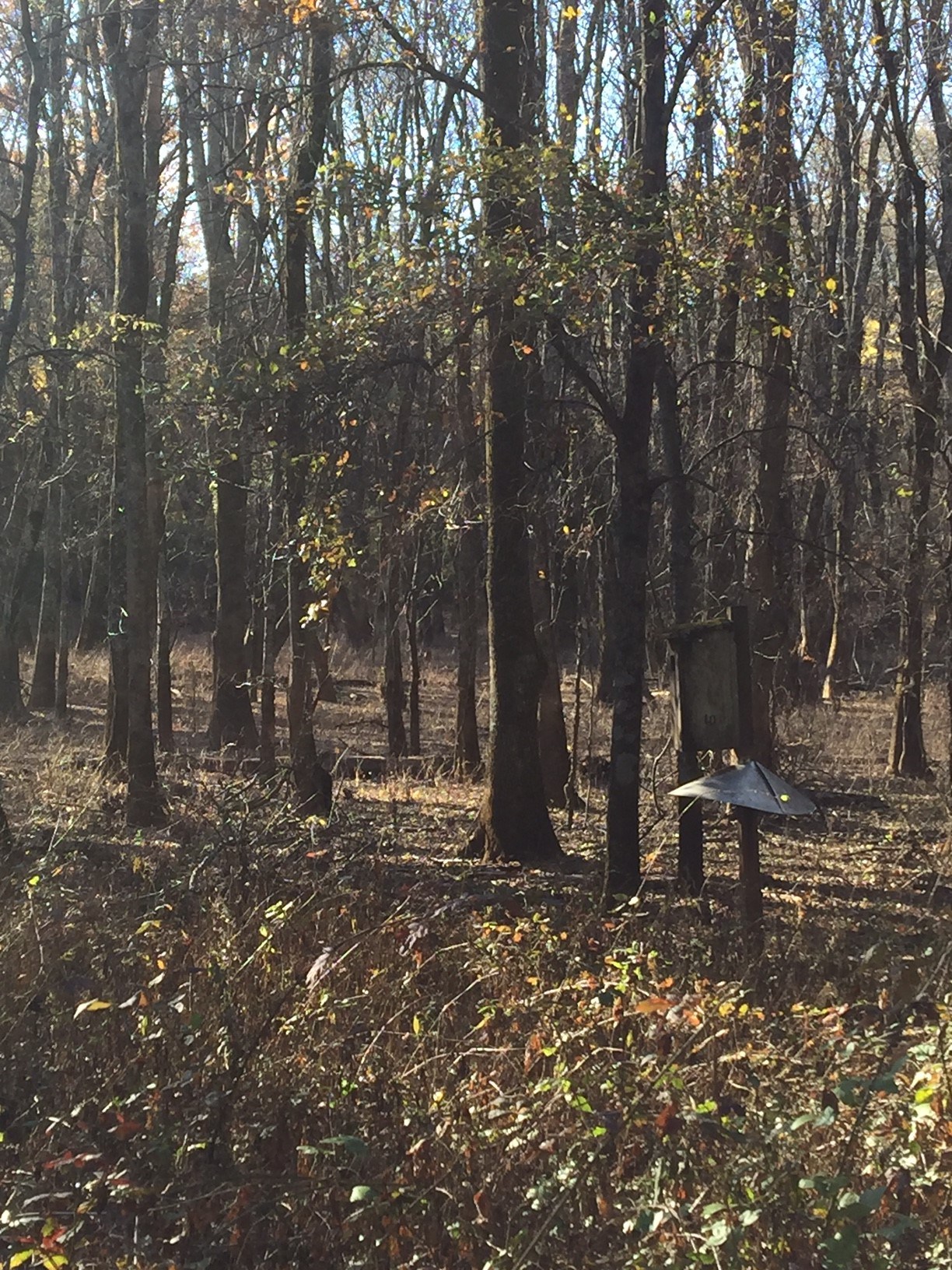 IVXP Wildlife Habitat | Wetlands Edge Environmental Center