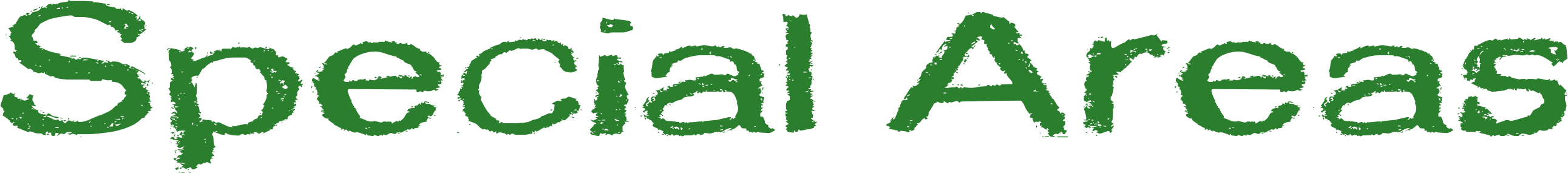 Special Areas | P.T. Coe Elementary