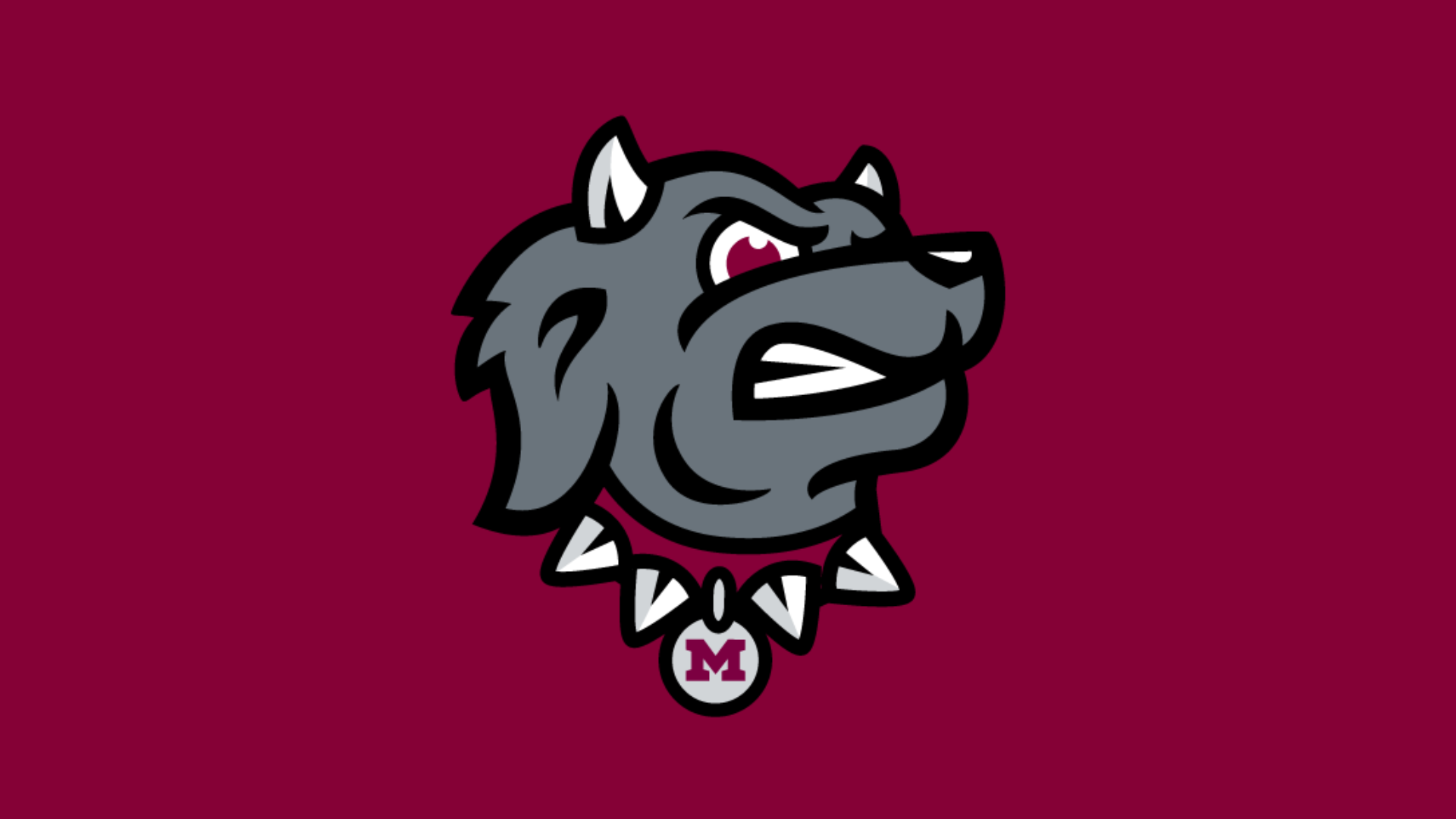 Morrilton Primary | Live Feed