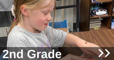 Grade Levels | Franklin Accelerated Academy
