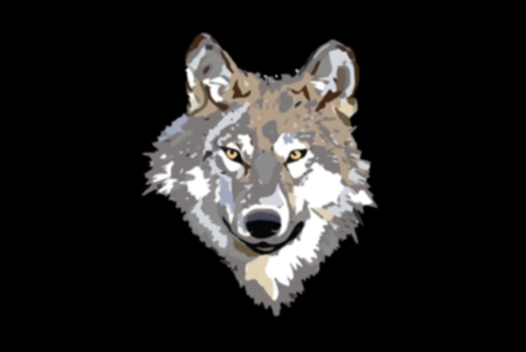 Football | RAYNE HIGH SCHOOL