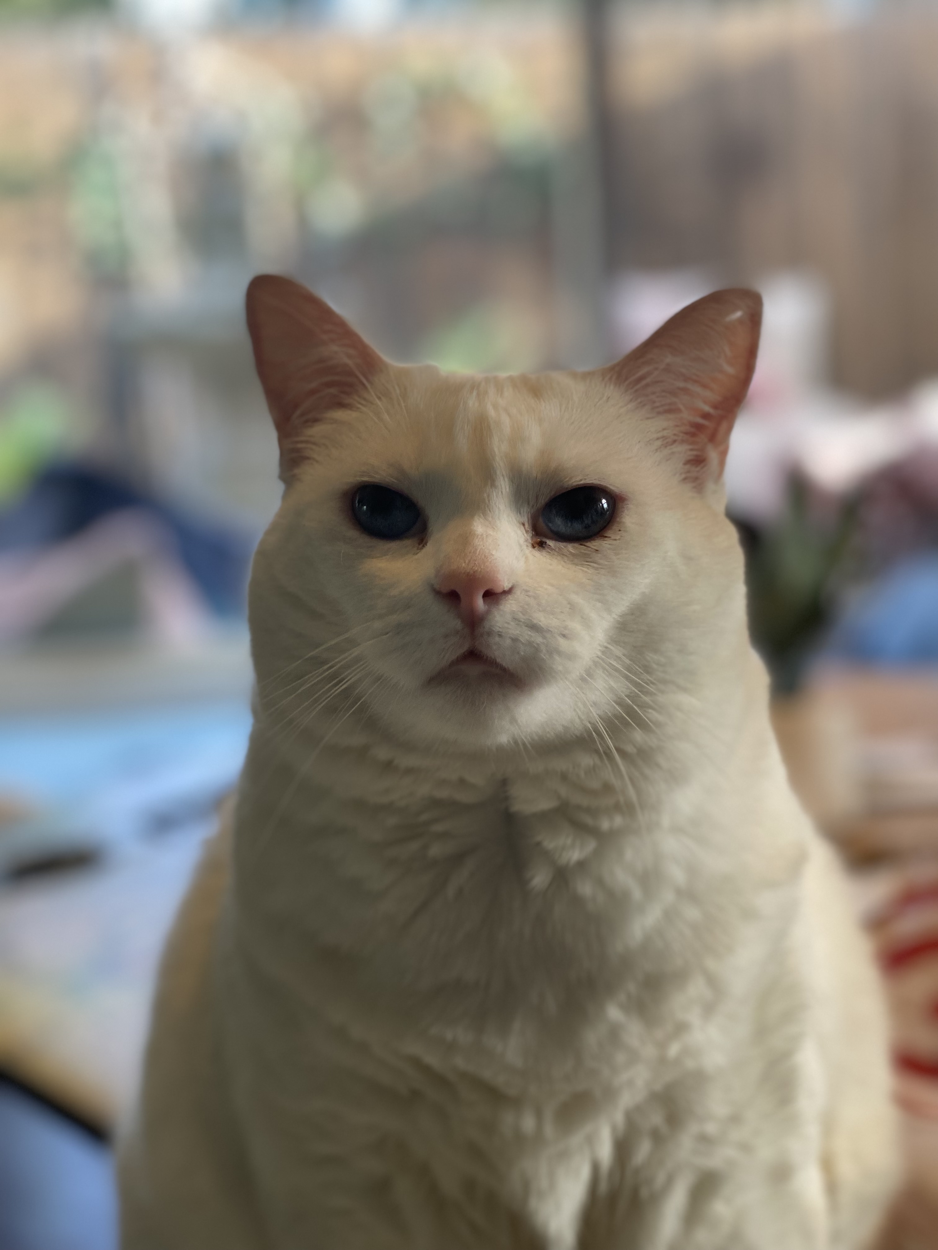 Angela Daley | Day Creek Intermediate School