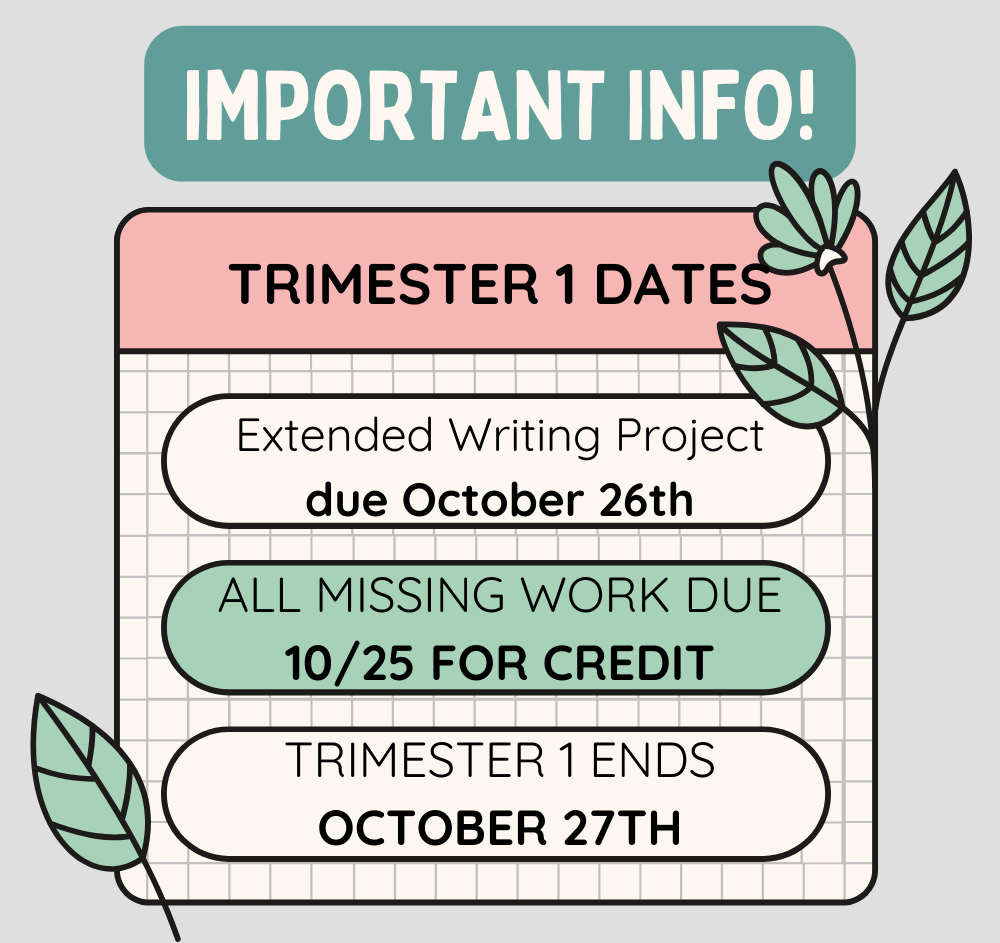 Devin Holcomb | Summit Intermediate School